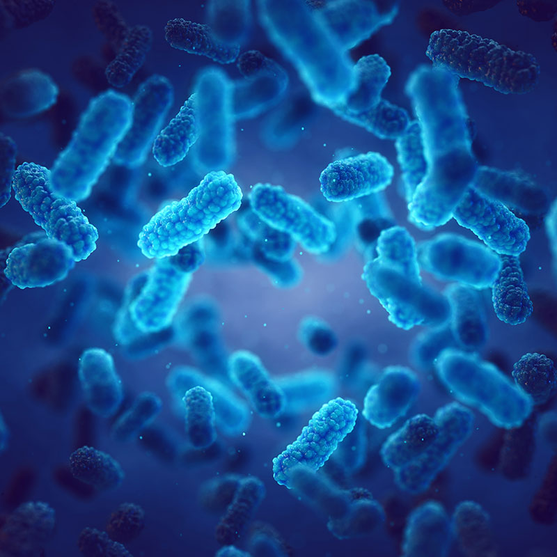 Host-Pathogen Interaction Analysis | Genetic mechanism studies with NGS
