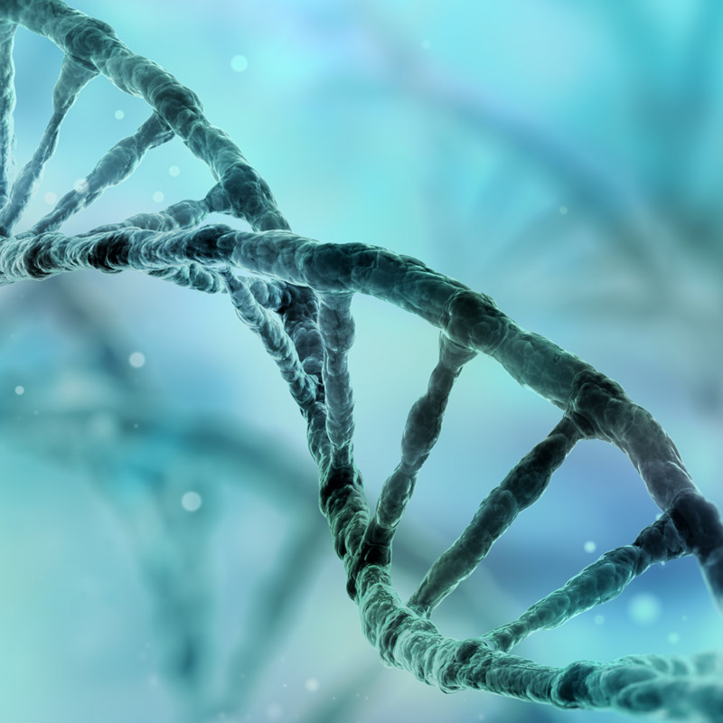 DNA Library Preparation